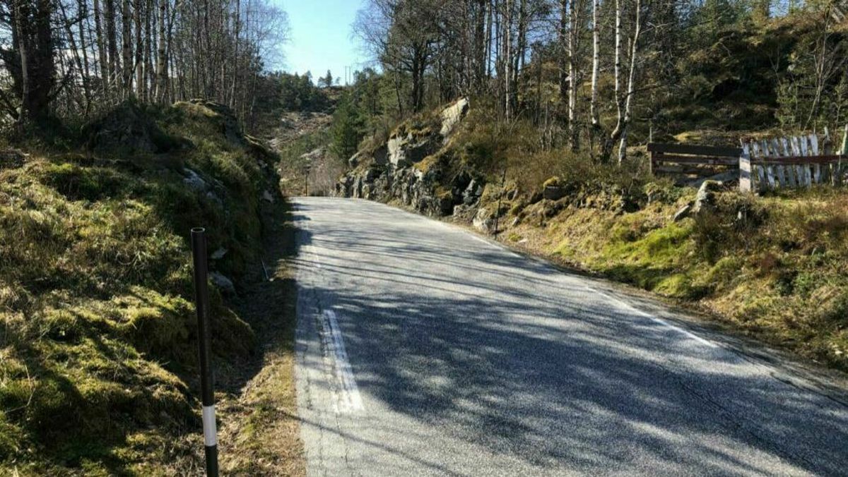 Syv leverte tilbud: Mesta har laveste pris på å ruste opp fylkesvei i ... Syv leverte tilbud: Mesta har laveste pris på å ruste opp fylkesvei i ...